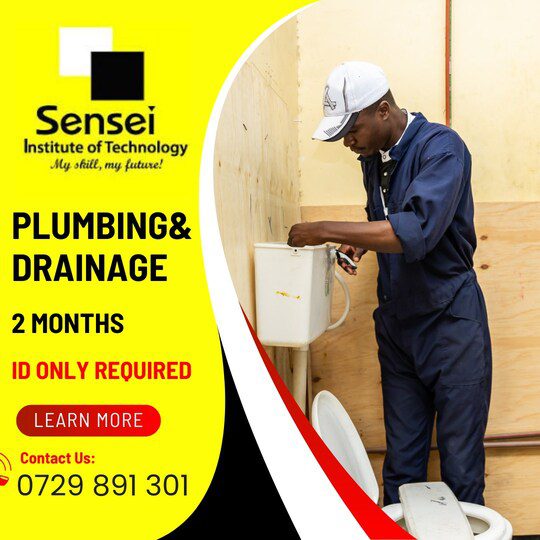 Sensei Institute of Technology Kitengela | Apex Business Pages